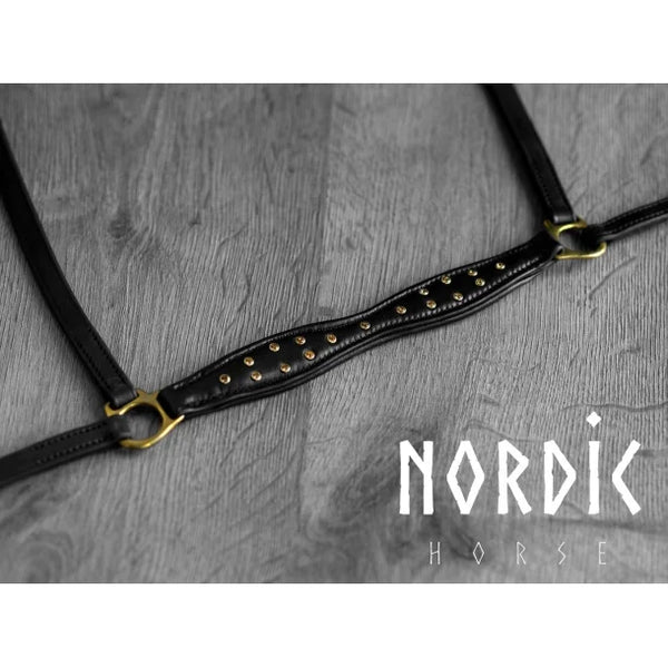 Bridle with Gold detail – Flying C Tack