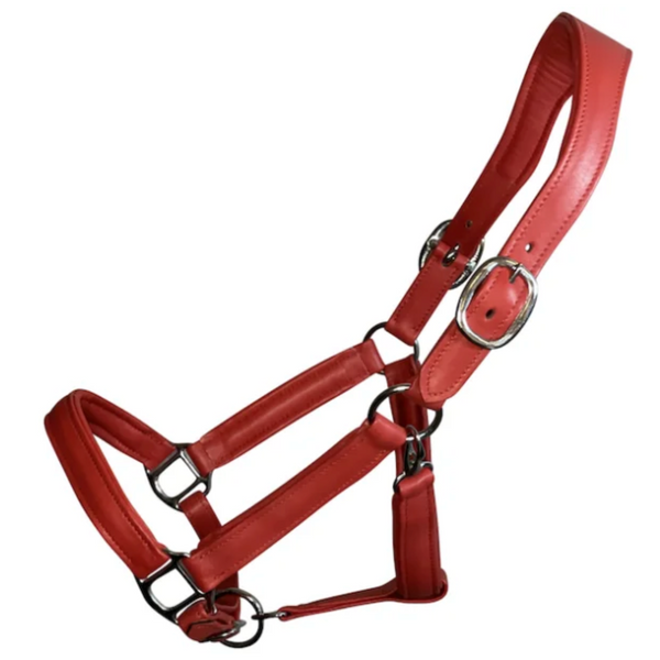Red Leather Halter with padding – Flying C Tack